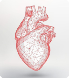 About us - iCARDIO Alliance